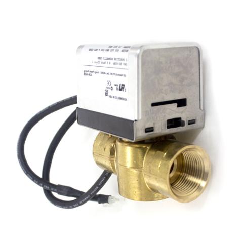 Mr. Steam AutoFlush® Assembly 1 Inch NPT CT81500 | Vital Hydrotherapy